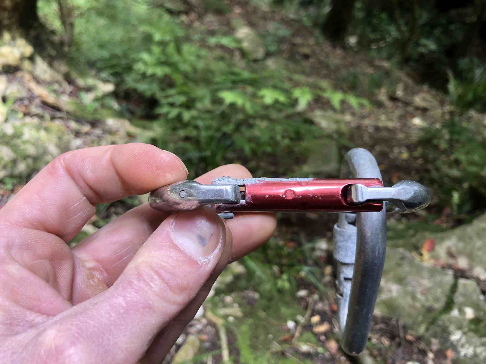 Progress on Pakeho crag | Aotearoa Climbing Access Trust